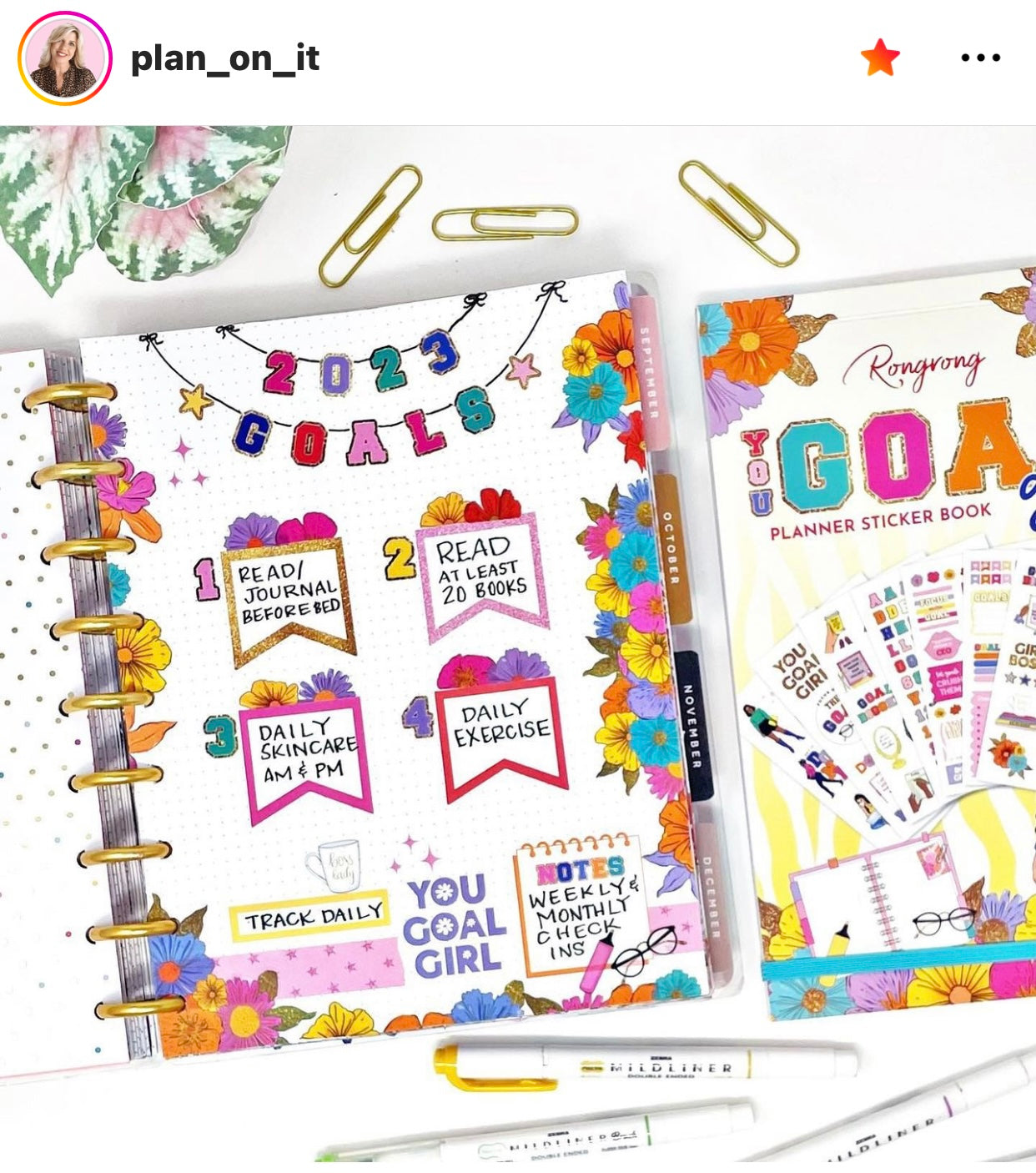You Goal Girl Planner Sticker Book | Decorative Stickers | Shop Rongrong